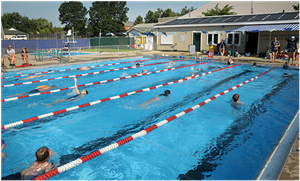 Middlebury Parks and Recreation: Middlebury Swim Team